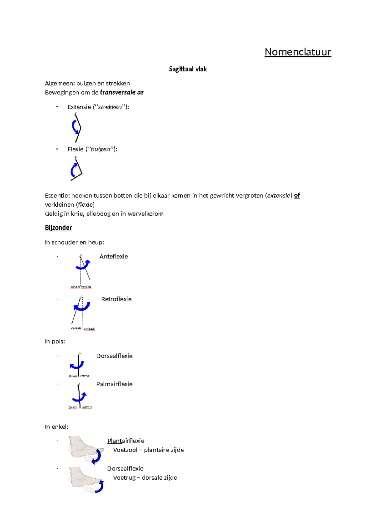 Nomenclatuur van Bewegingen in de Anatomie voor Lichaamsvlakken ...