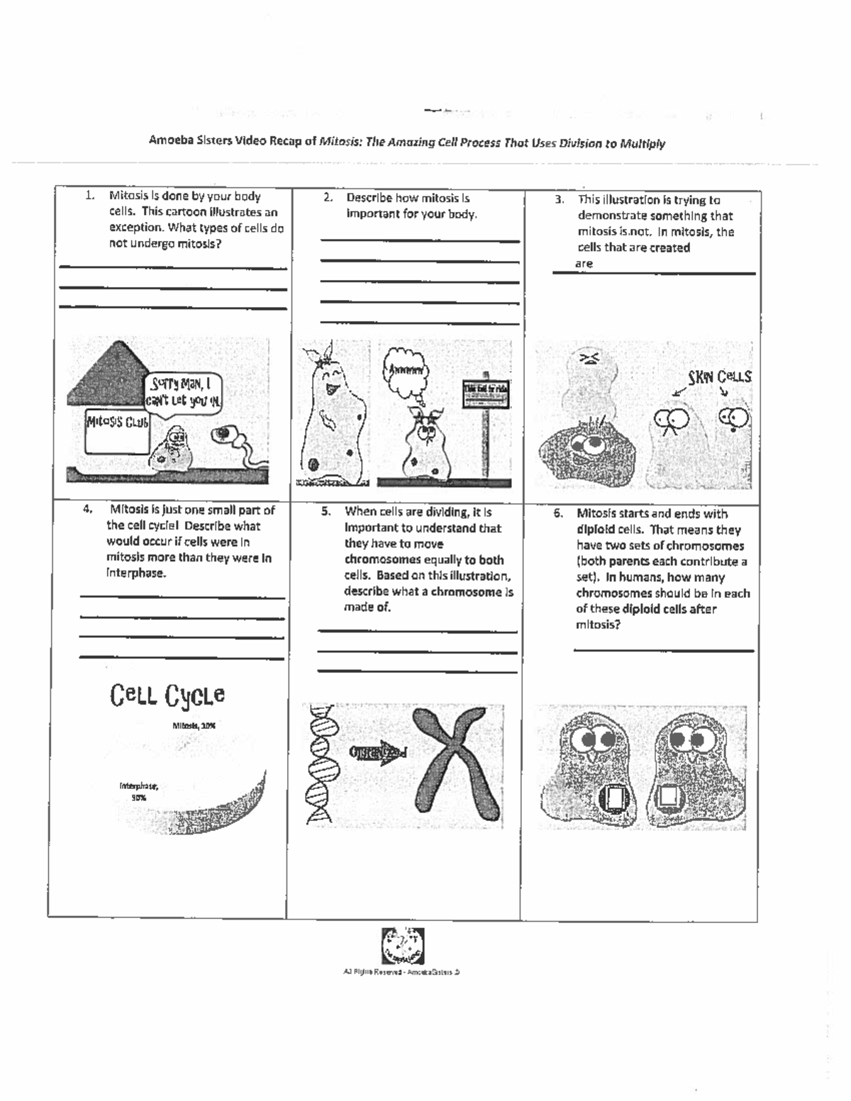 Amoeba Sisters Video Recap: Mitosis Explained (Bio 101) - Studocu
