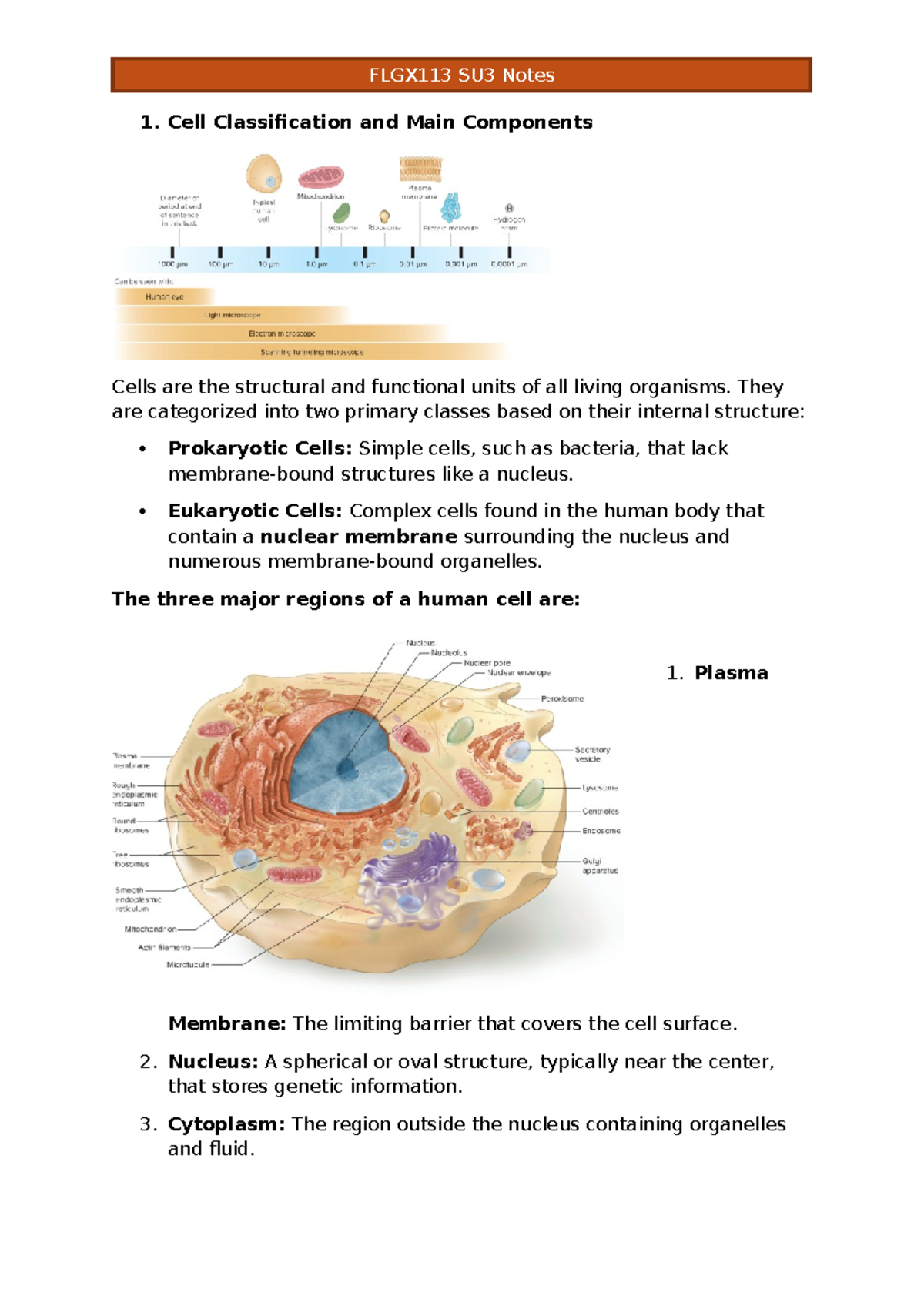 FLGX113 SU3 Lecture Notes: Cell Classification & Components - Studocu