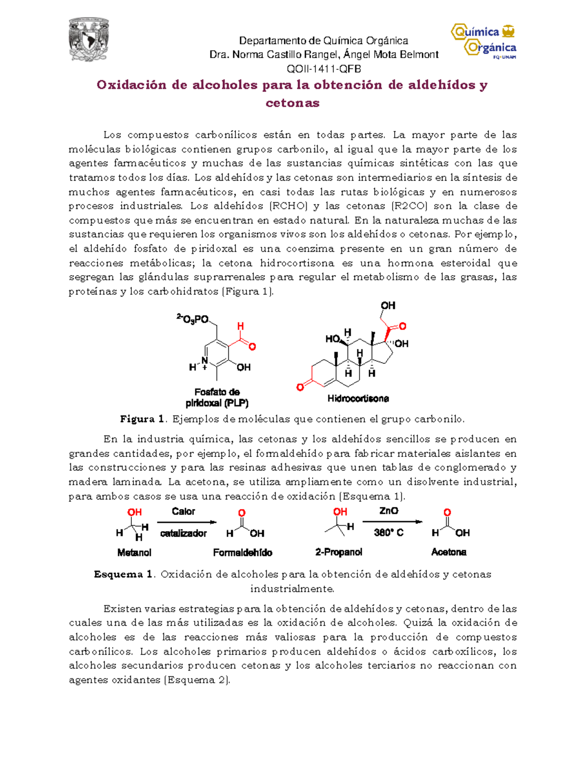 QOII-1411: Oxidación de Alcoholes para Obtener Aldehídos y Cetonas ...