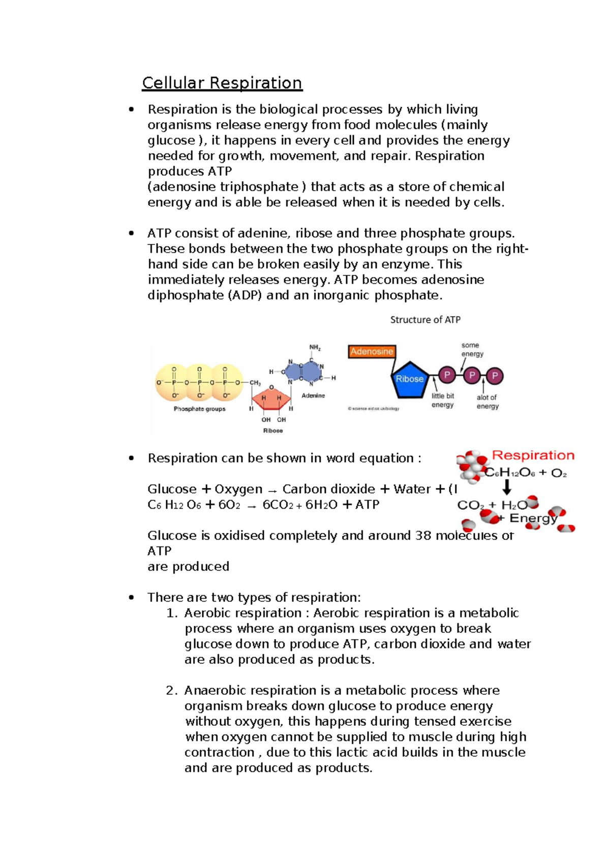 Cellular Respiration - Unit 10 Assignment Overview and Key Concepts - Studocu