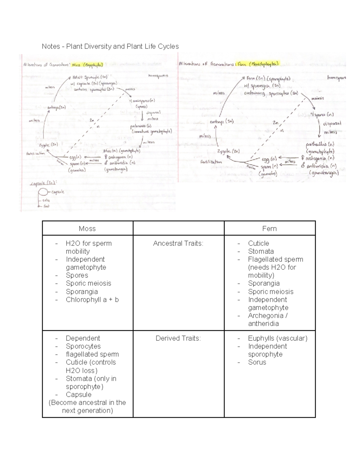 Plant Diversity & Life Cycles Notes - BIOL 205 - Studocu