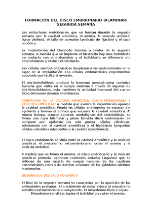 Esfínter Esofágico Superior - Esfínter Esofágico Superior Conformado ...