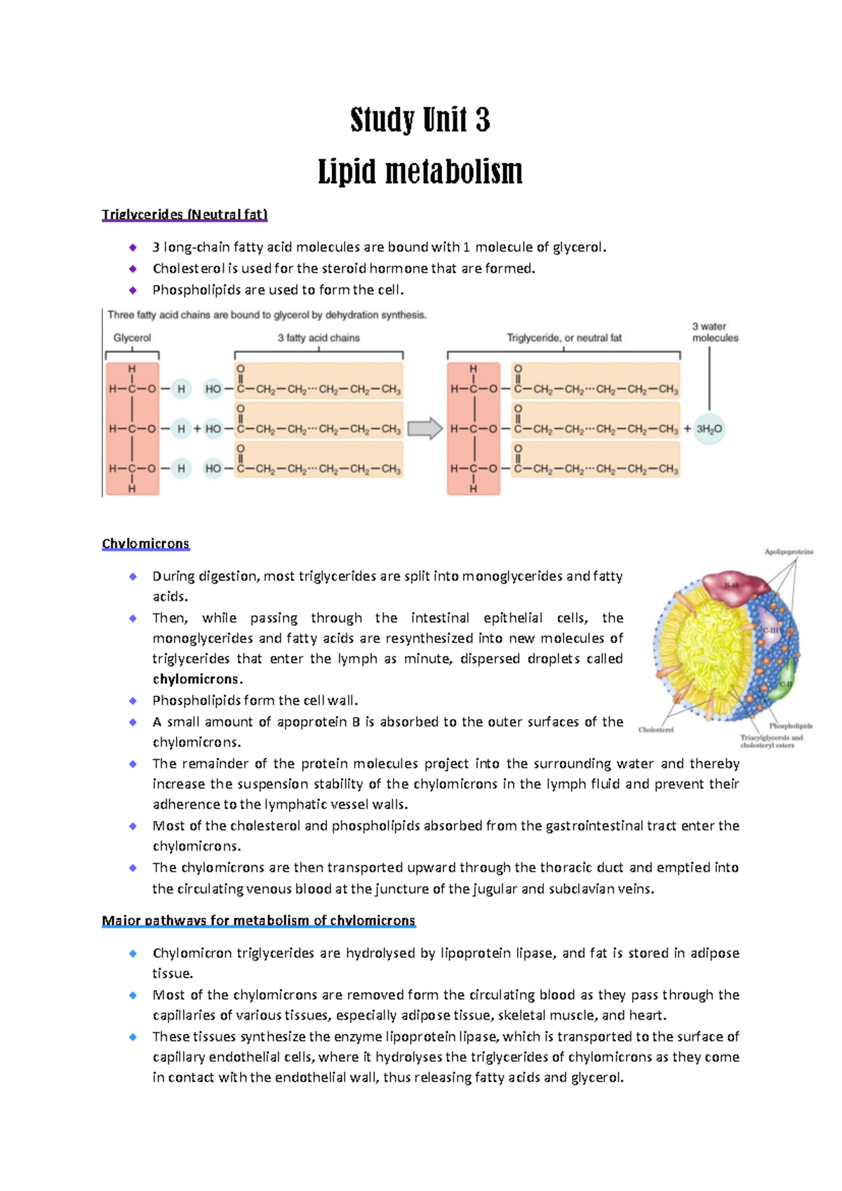 FLGX 224 Study Unit 3: Lipid Metabolism and Triglycerides Overview ...