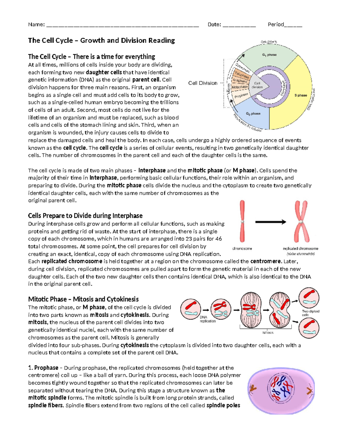 Cell Cycle Overview: Mitosis & Cytokinesis - Lecture Notes 101 - Studocu