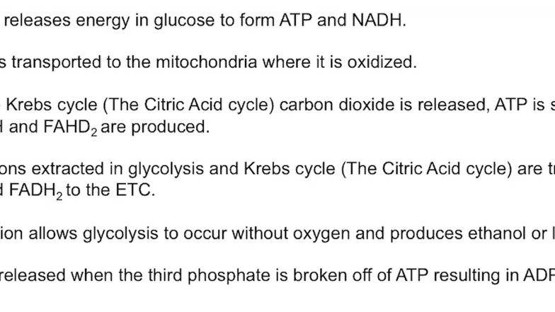 AP Biology Unit 3: Cellular Respiration Overview - Studocu