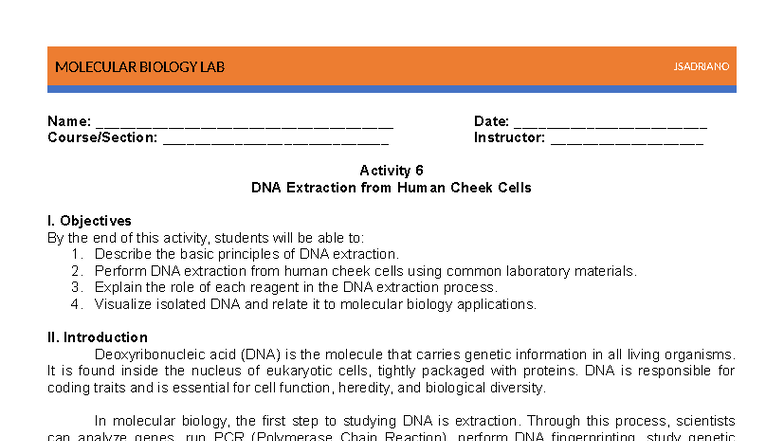 MOL BIO Lab Activity: DNA Extraction from Cheek Cells - Studocu