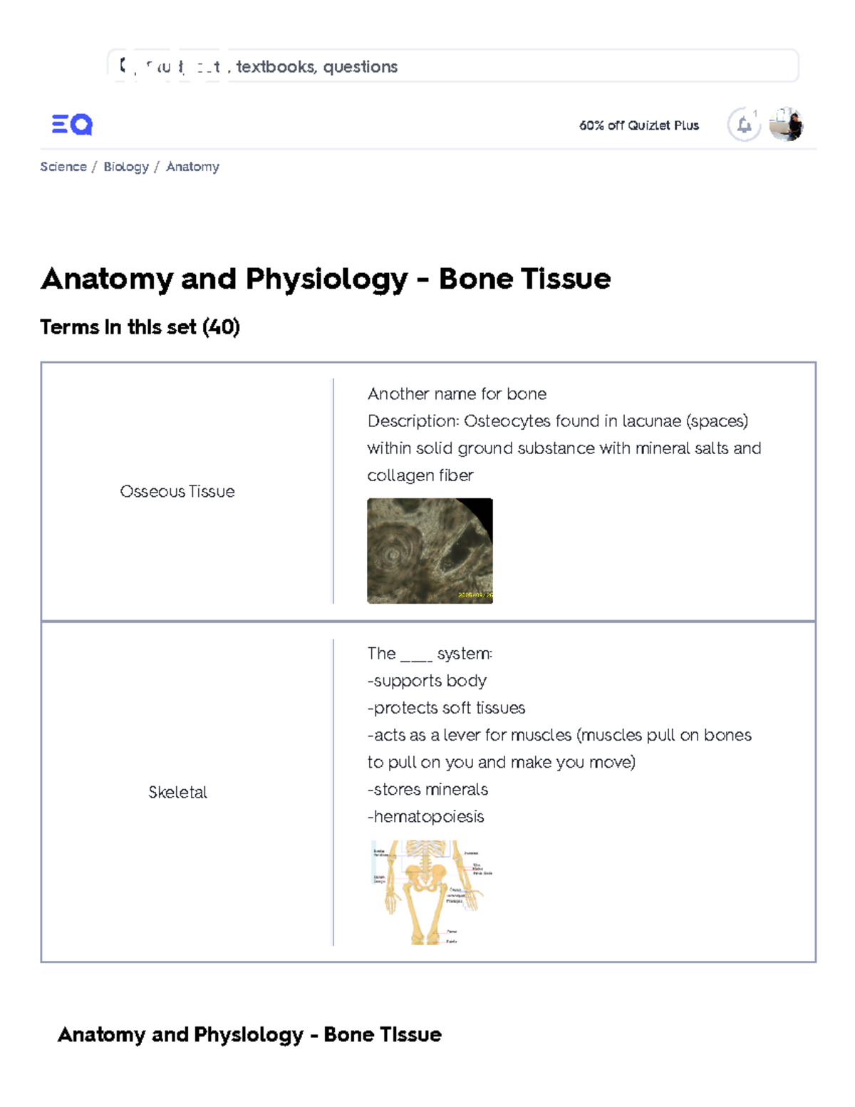 Anatomy and Physiology - Bone Tissue Study Guide Flashcards - Studocu