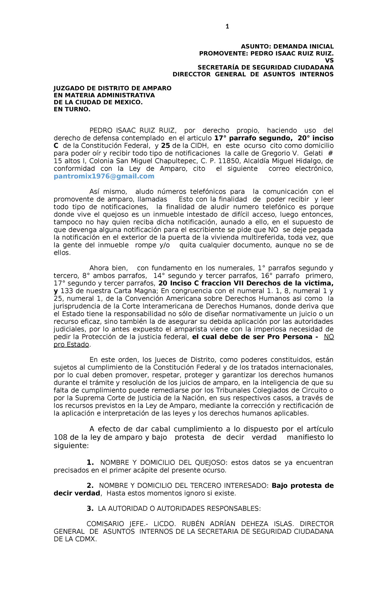 Amparo Indirecto 2021124: Demanda de Protección ante Asuntos Internos ...