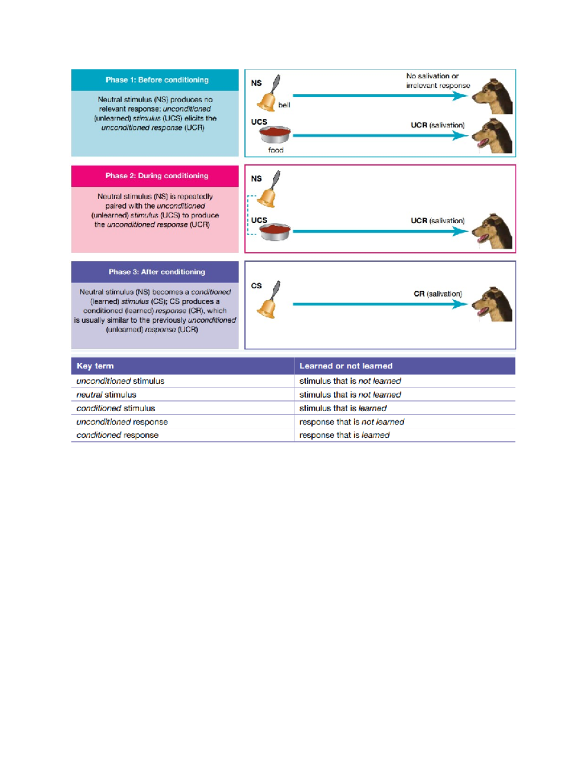 Psychology unit 3 aos 2 - different types of stimuli summary - Operant ...