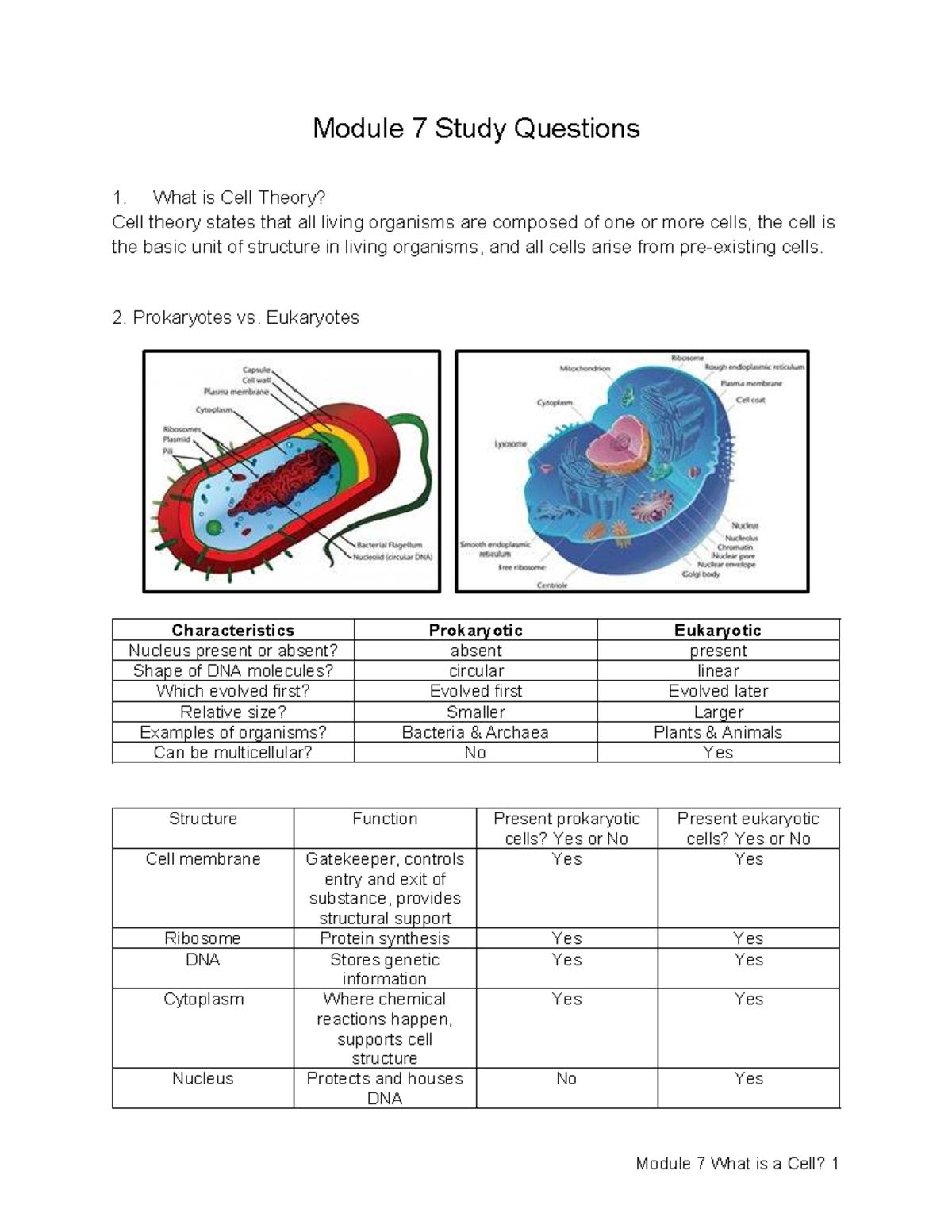 Module 7: Cell Theory and Eukaryotic Organelles Study Questions - Studocu