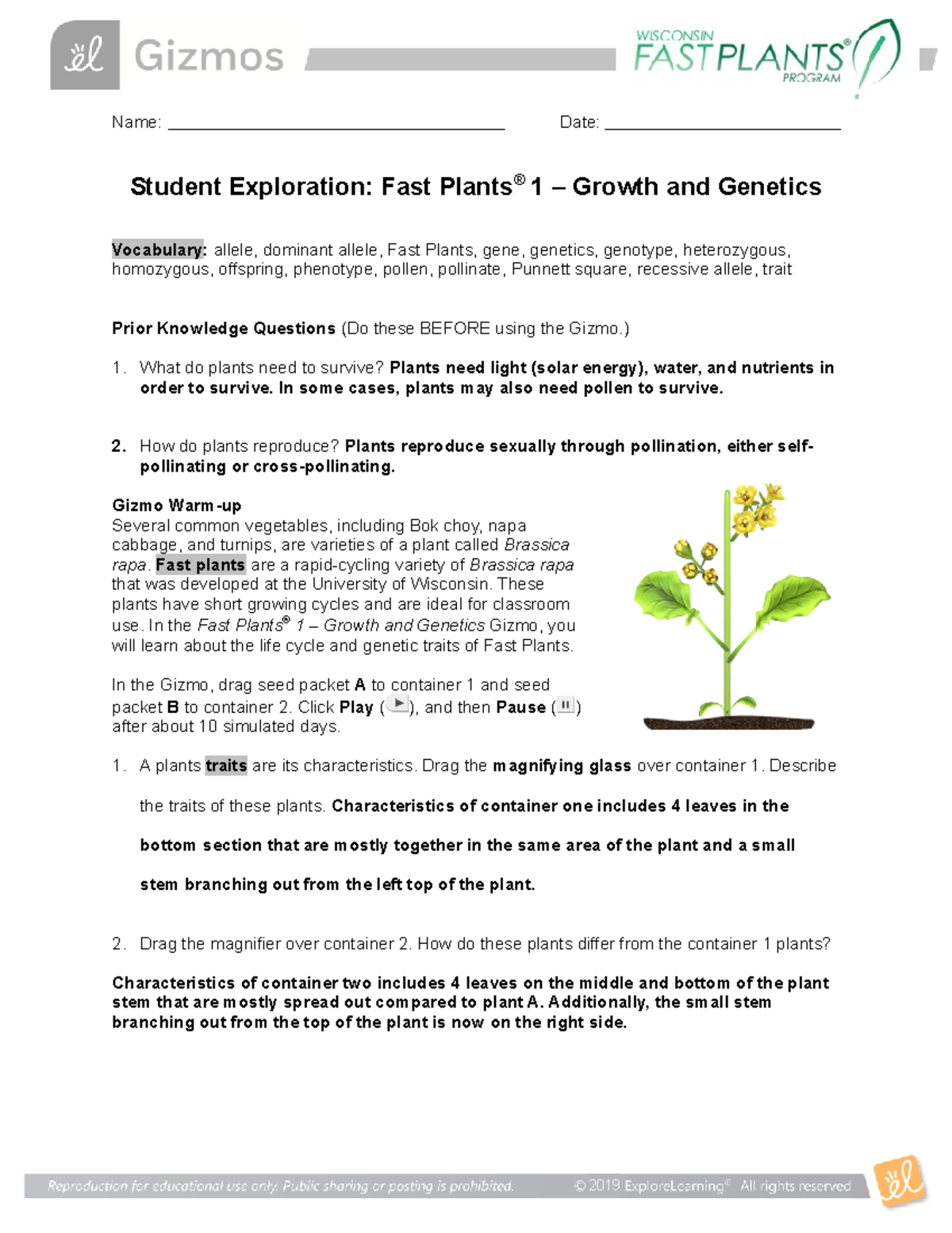 Fast Plants® Growth and Genetics Activity - Gizmo Exploration - Studocu