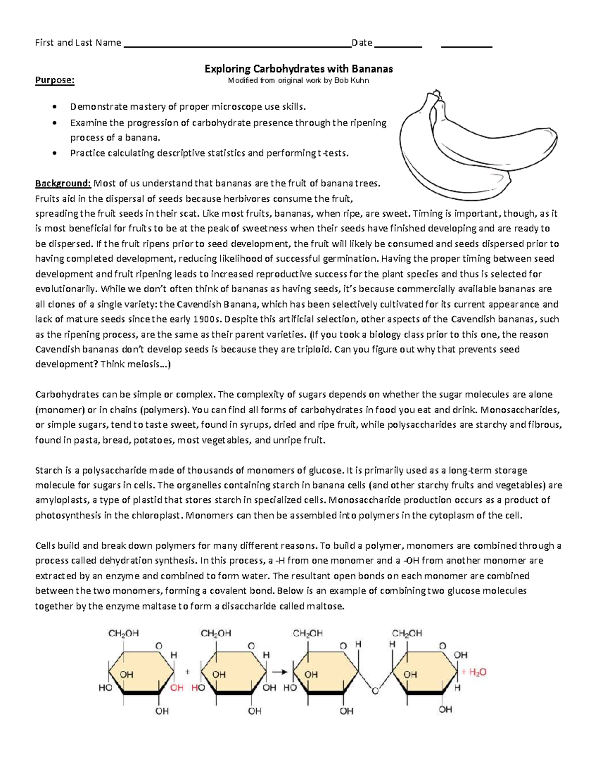 LAB 2.1: Exploring Carbohydrates in Bananas and Their Ripening Process ...