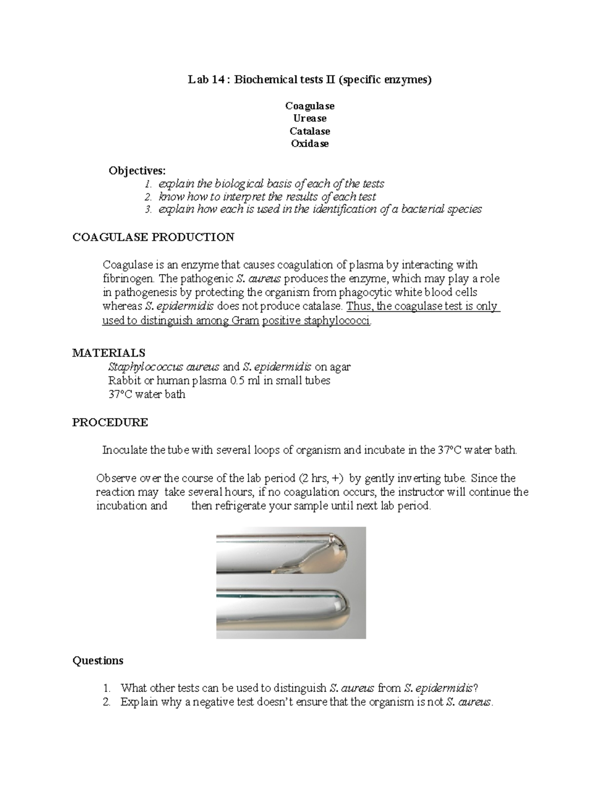 Lab 14: Biochemical Tests II - Enzyme Identification Techniques - Studocu