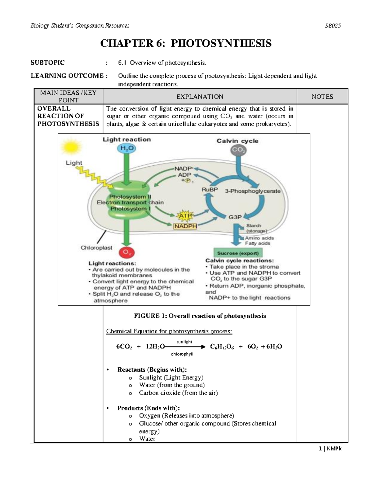 Biology SB025 CHAPTER 6: Photosynthesis Overview and Key Concepts - Studocu