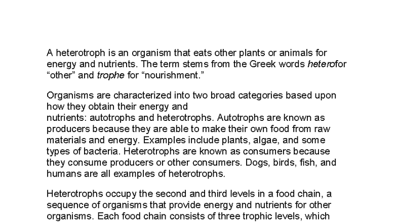 Biology Notes: Heterotrophs and Their Role in Ecosystems - Studocu