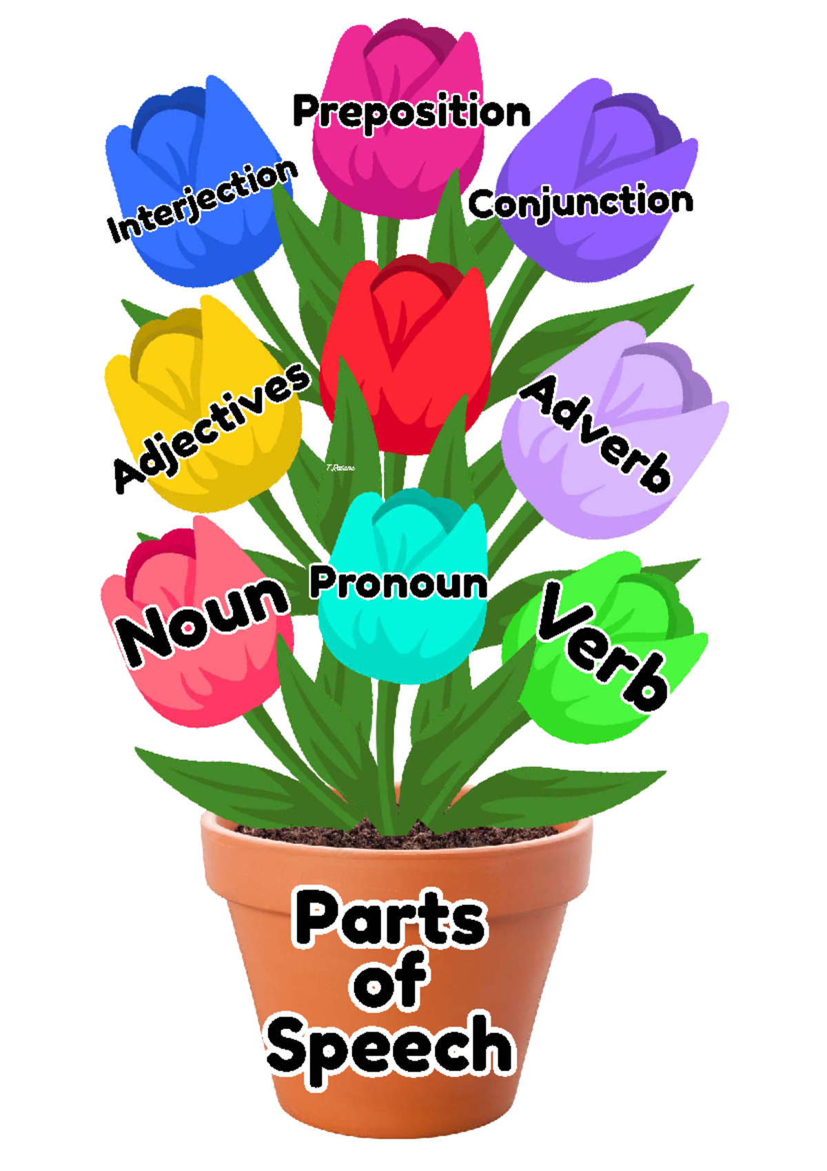 Parts of Speech Overview - Instructional Materials - Studocu