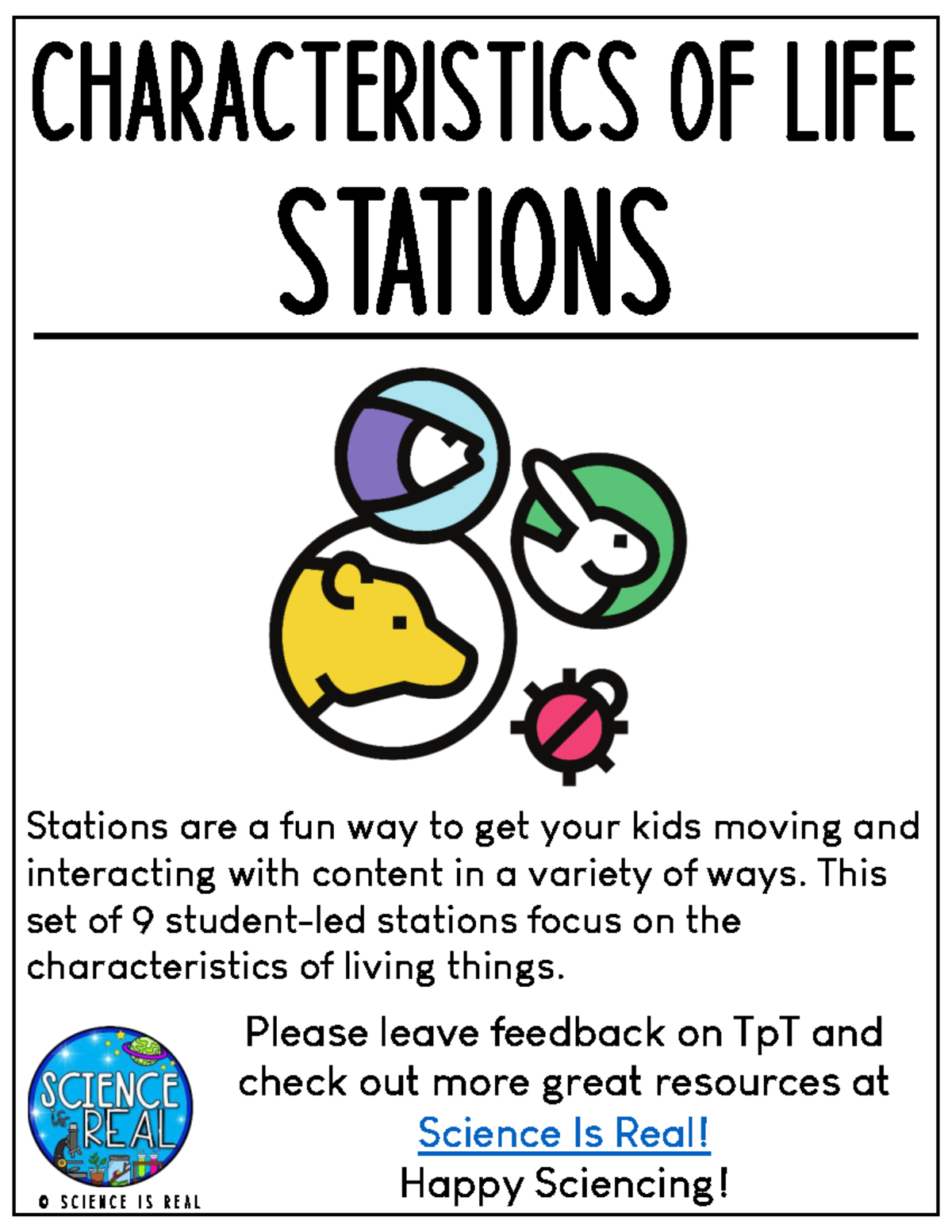 Characteristics of Life Stations Activity: Engaging Learning for Kids ...
