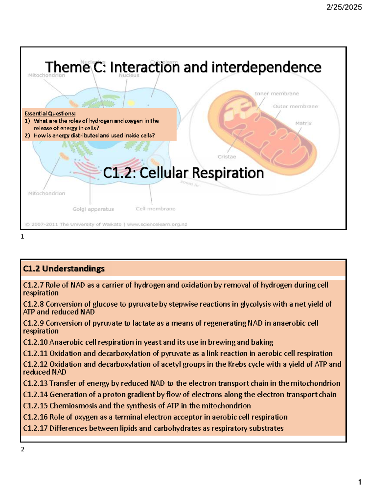 C1.2 Cellular Respiration: Key Concepts and Processes Explained - Studocu