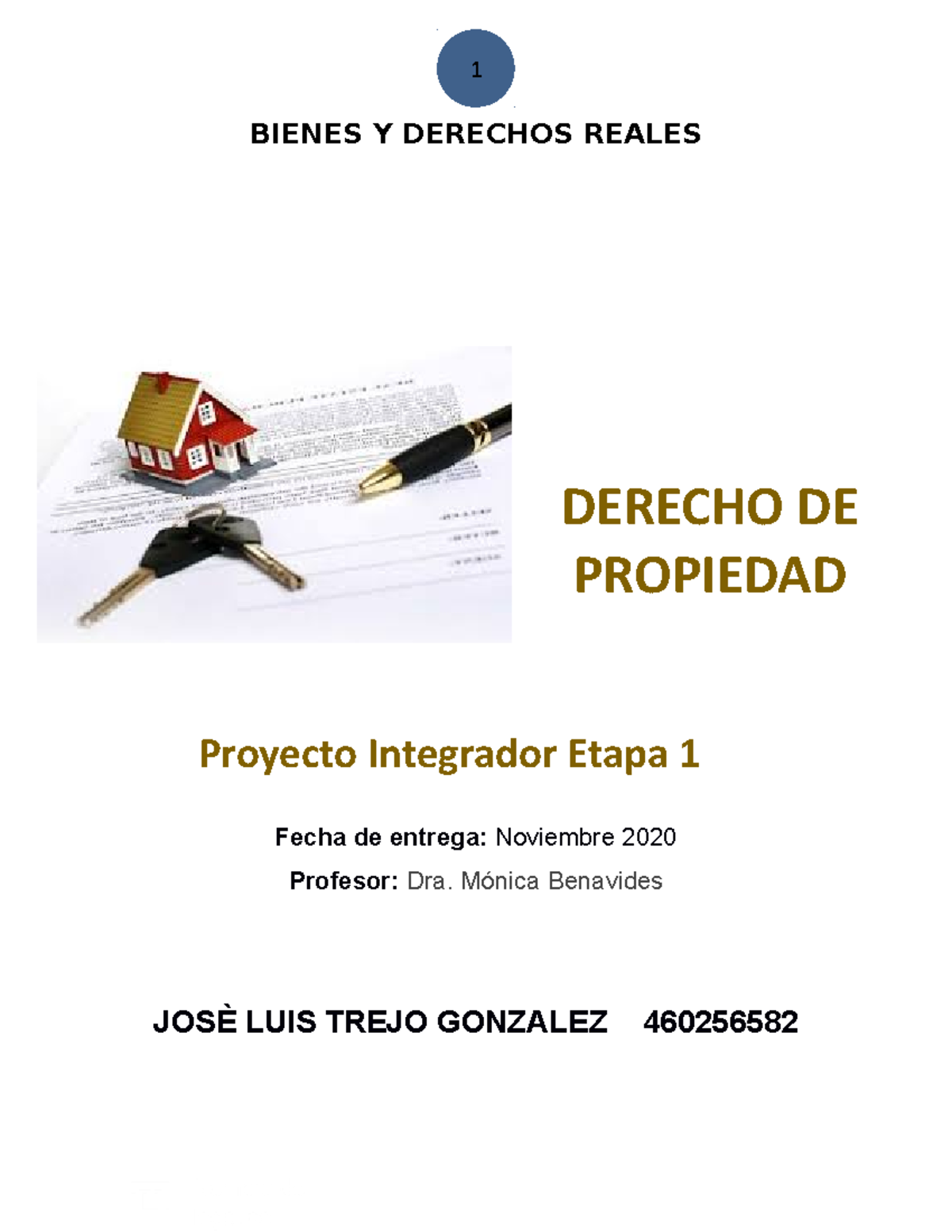 Proyecto Integrador Etapa 1 Bienes y Derechos Reales JLTG - BIENES Y DERECHOS REALES DERECHO DE ...