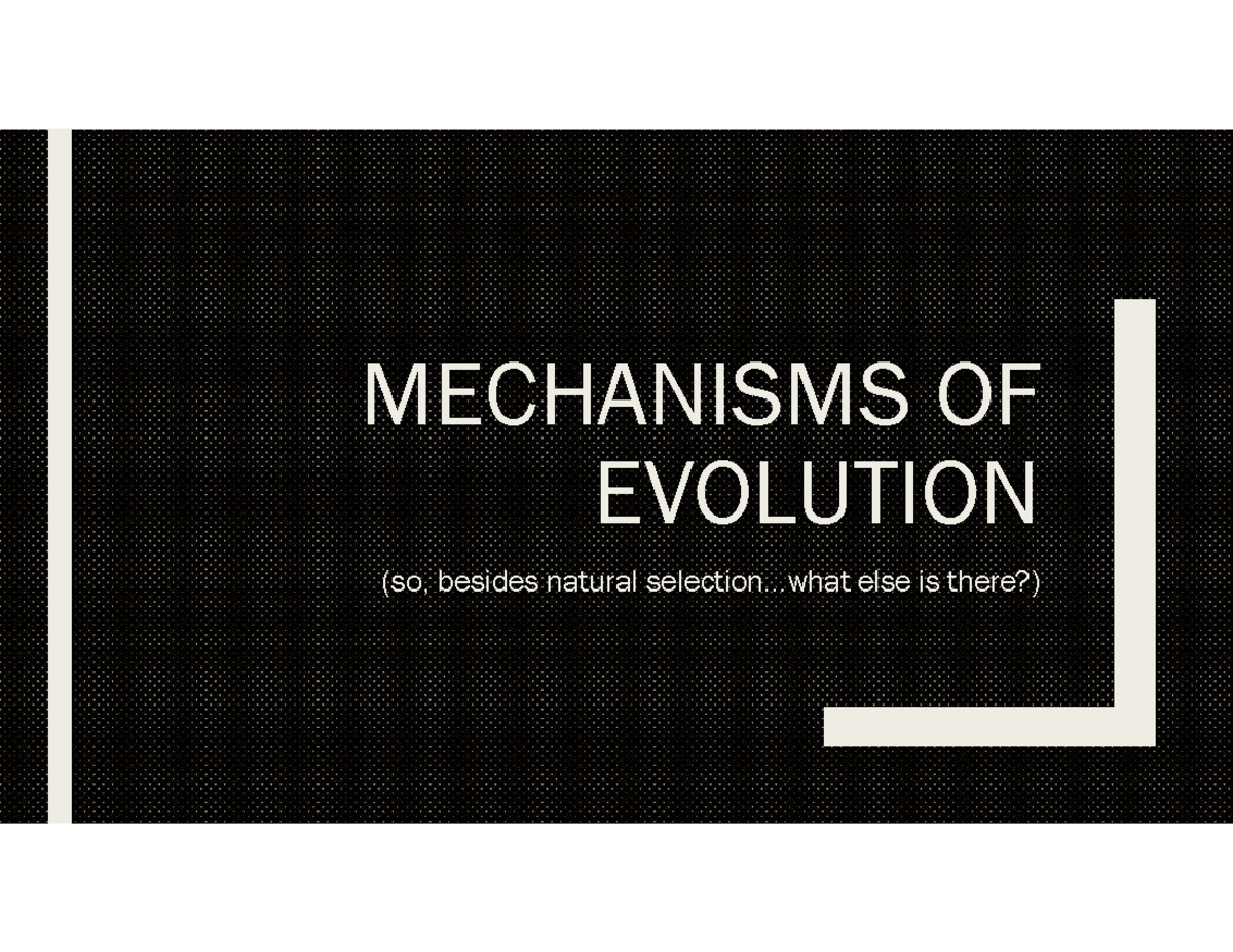 Mechanisms of Evolution: Understanding Genetic Drift and More (BIOL 101 ...