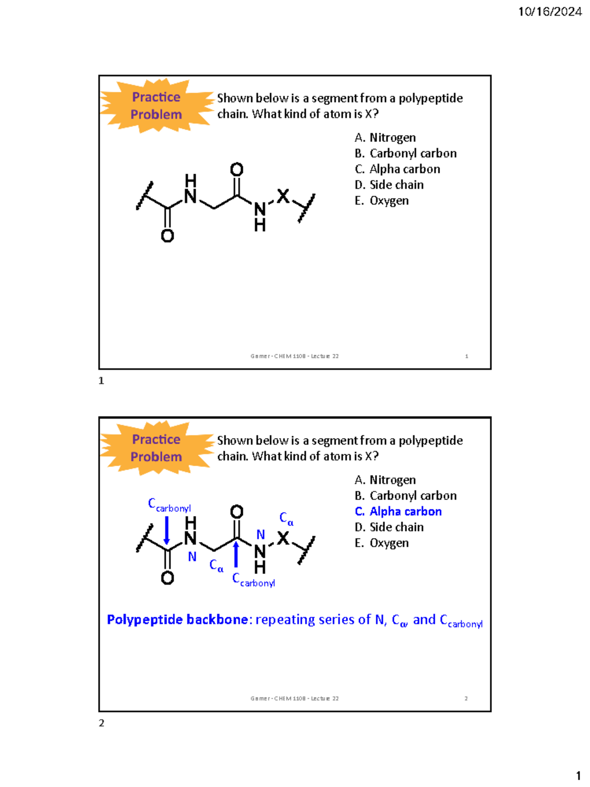 Biological Macromolecules: Proteins - CHEM 110B Lecture 22 Notes ...