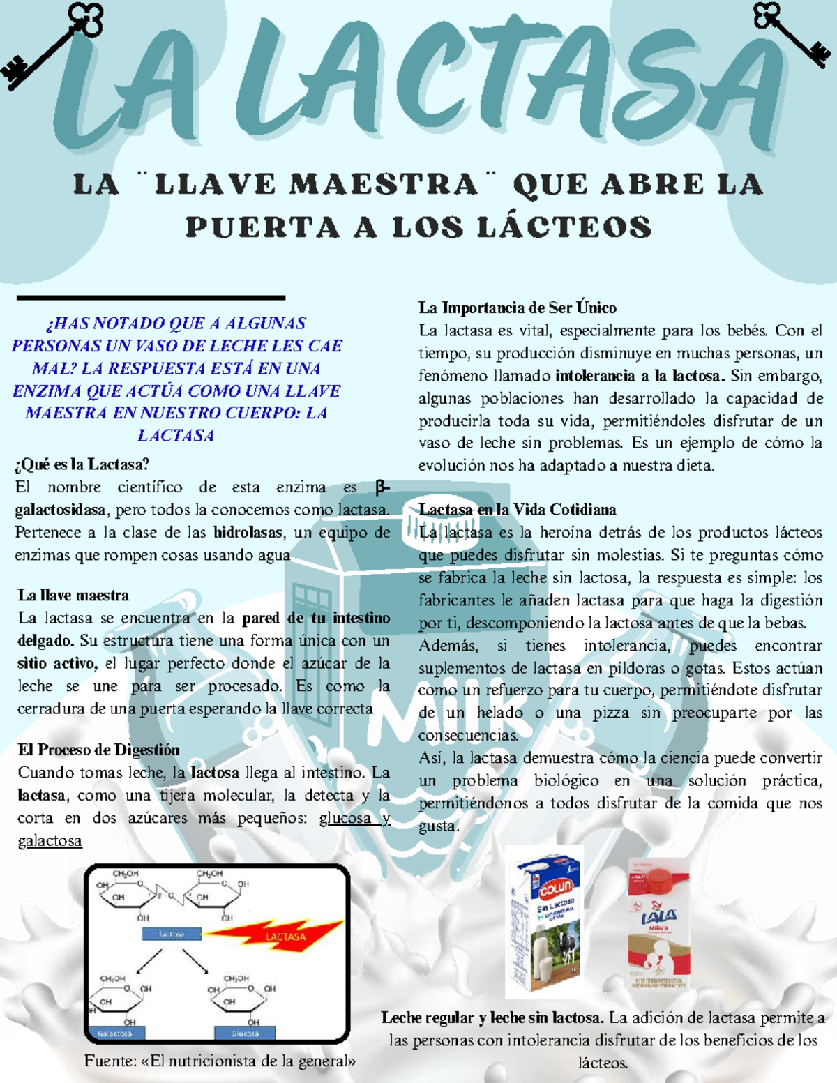 LA Lactasa: La Enzima Clave para Disfrutar de los Lácteos - Studocu