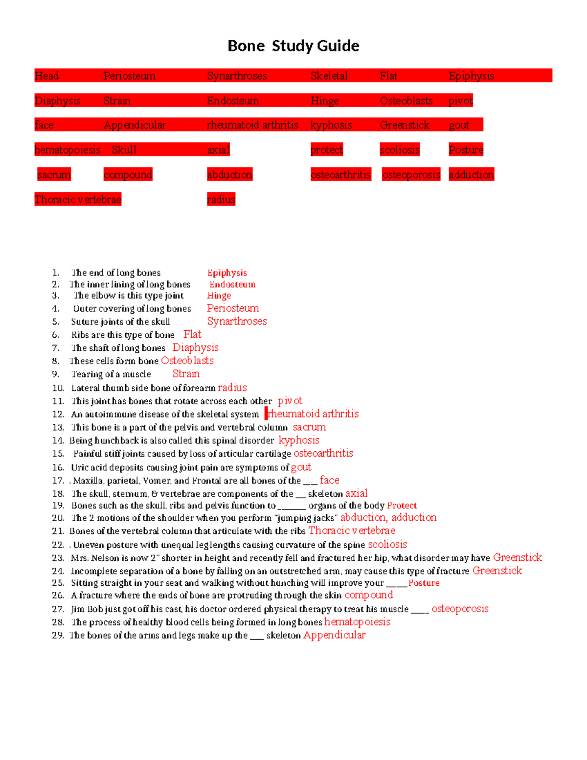 Bone Study Guide- Bone Study Guide Head Periosteum Synarthroses ...