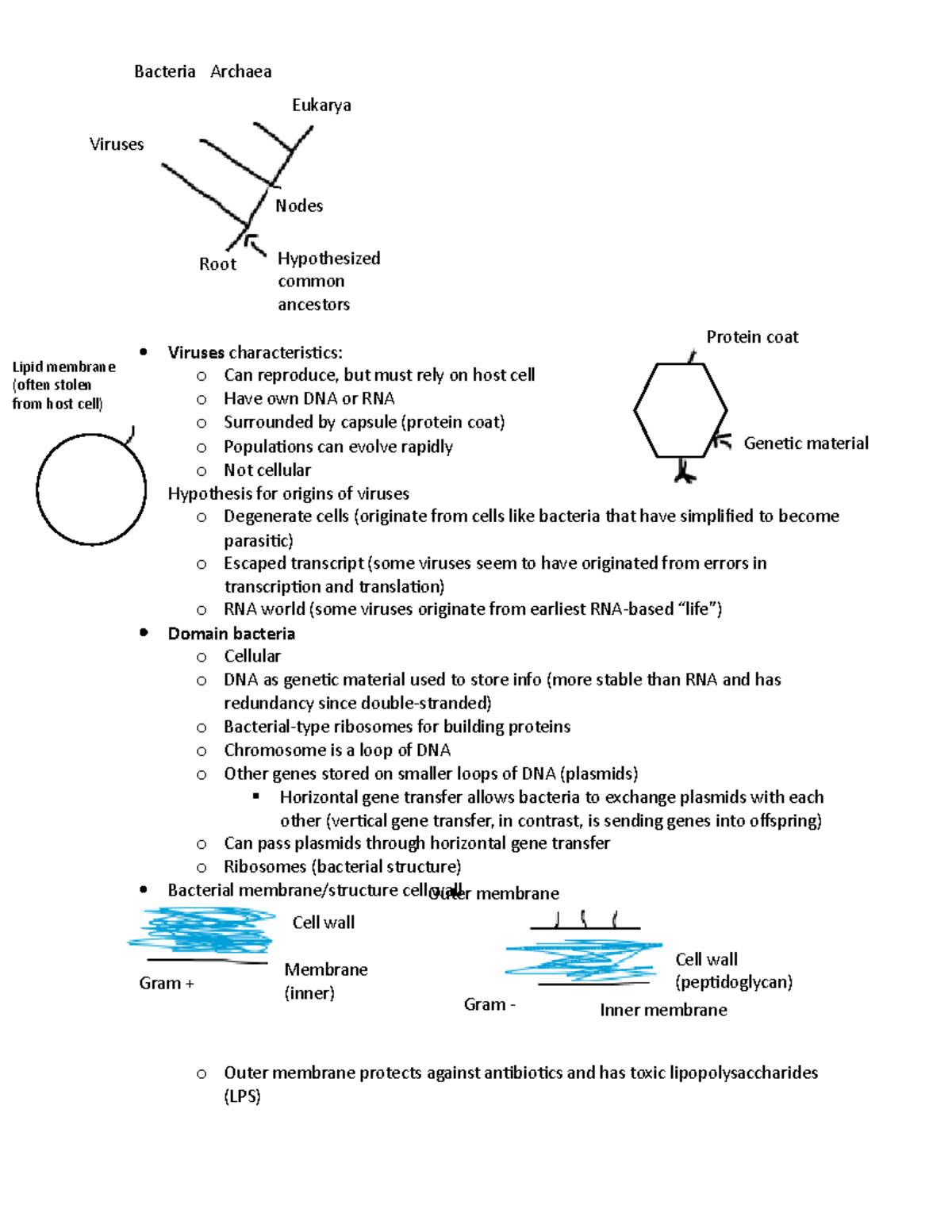 Biology II: Viruses, Bacteria, and Archaea Overview and Characteristics ...