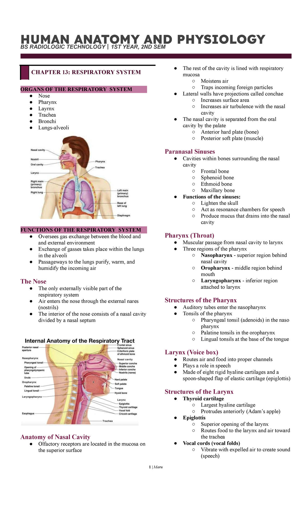 HUMAN ANATOMY AND PHYSIOLOGY BS RADIOLOGIC YEAR, 2ND SEM CHAPTER 13 ...