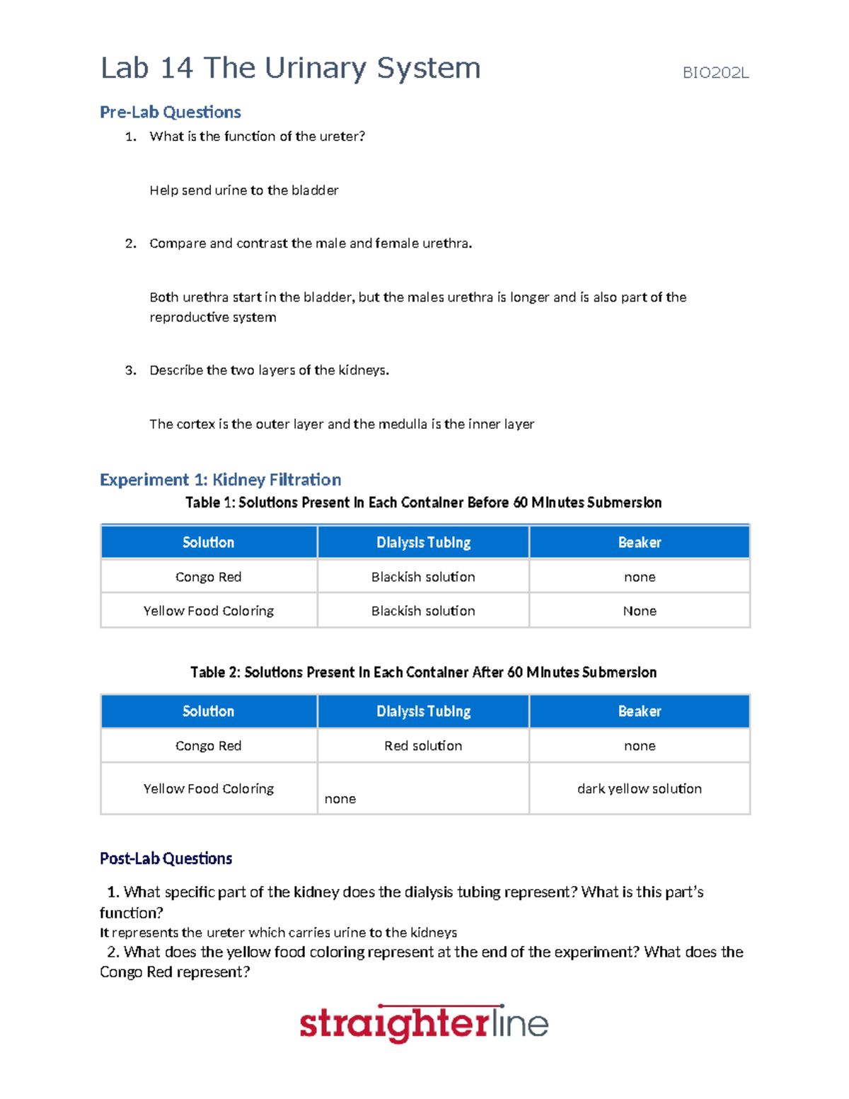 Lab 14: Exploring the Urinary System through Experiments and Dissection ...