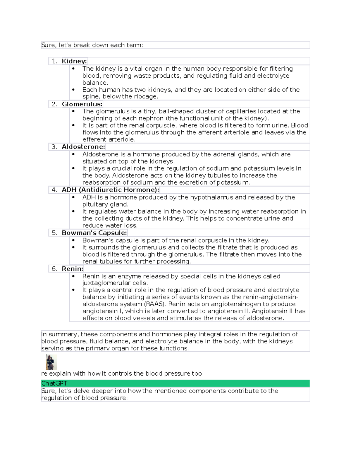 Kidney explained - Urinary system - Sure, let's break down each term: 1 ...