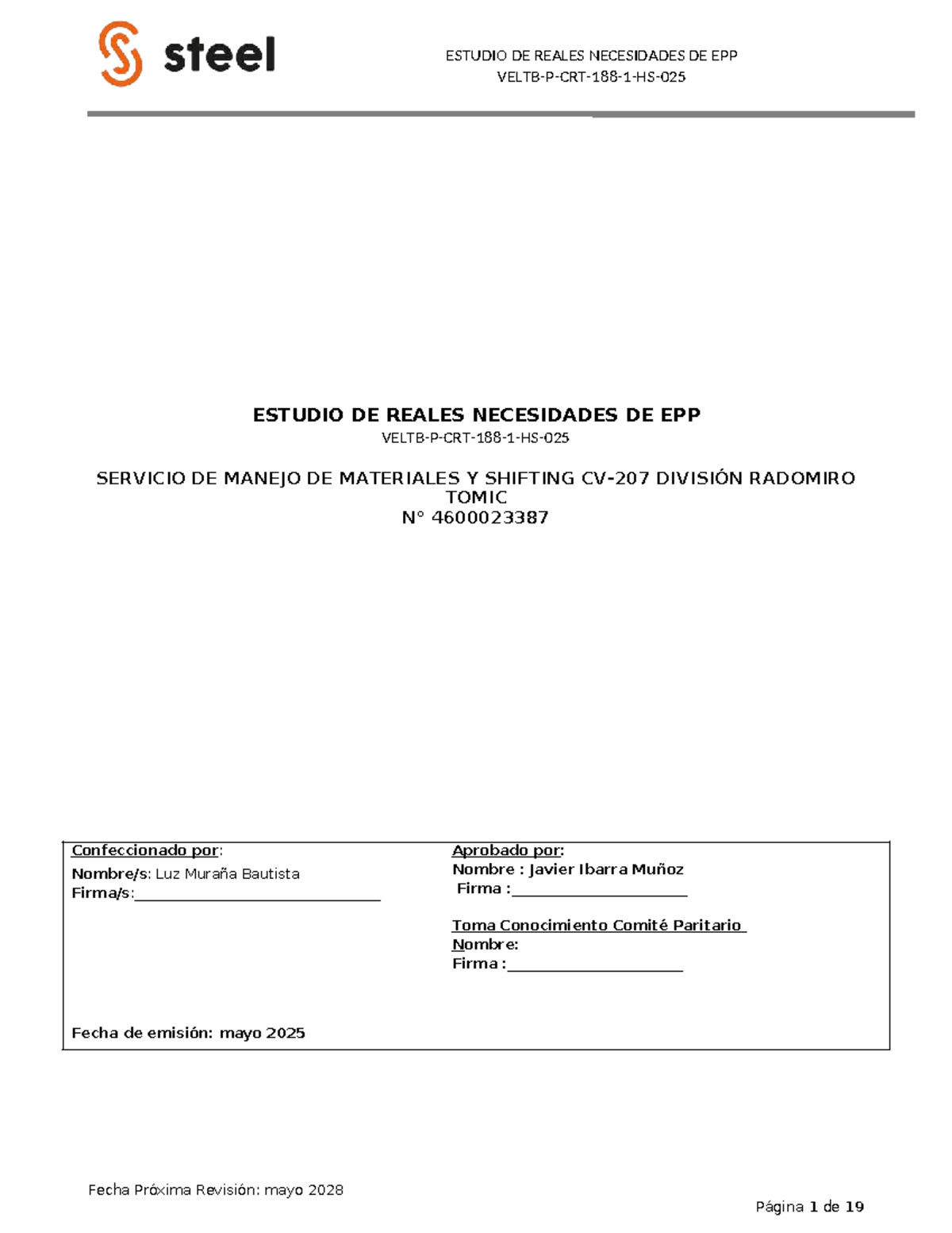 Estudio de Necesidades de EPP para Manejo de Materiales - RADOMIRO ...