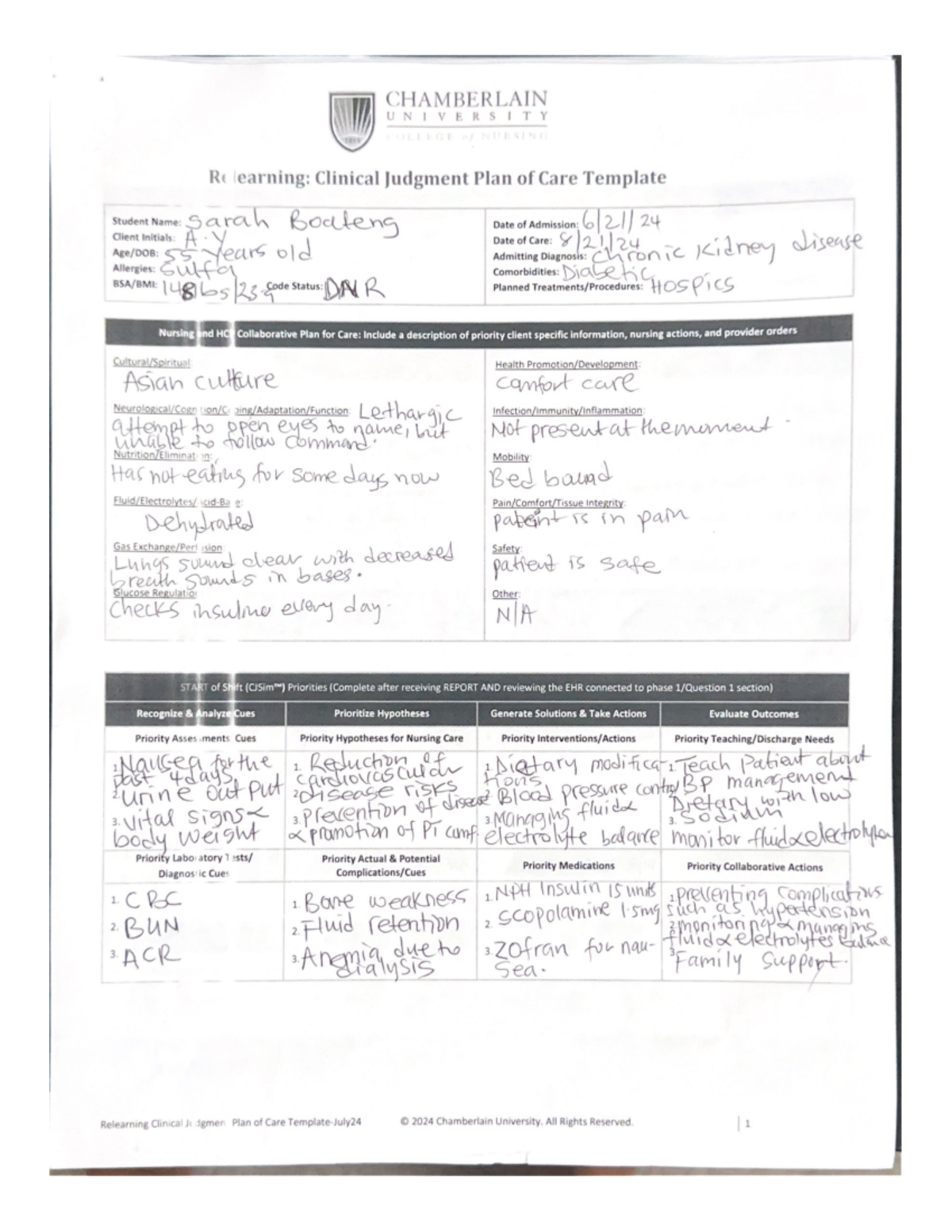 CHAMBERLAIN-6: Care Plan for CJSIM Chronic Kidney Disease Relearning ...