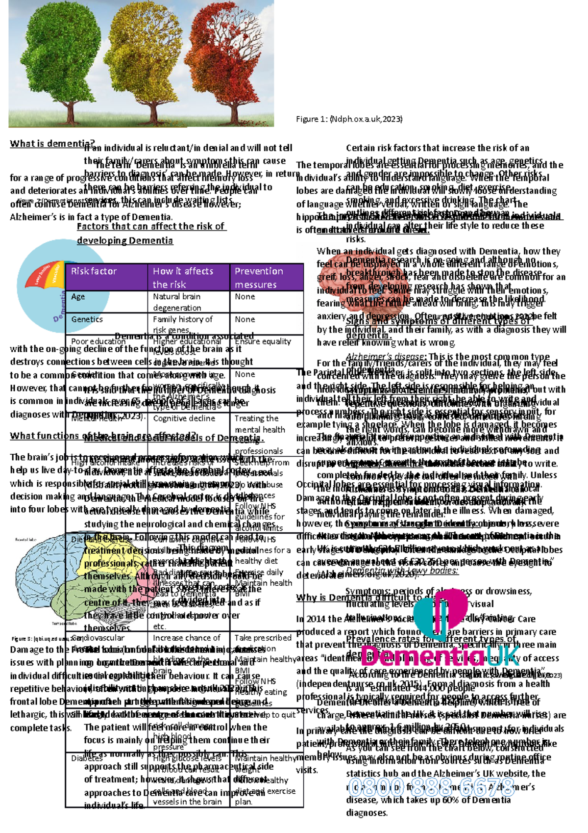 Unit 12 - Understanding Dementia: Overview and Key Insights - Studocu