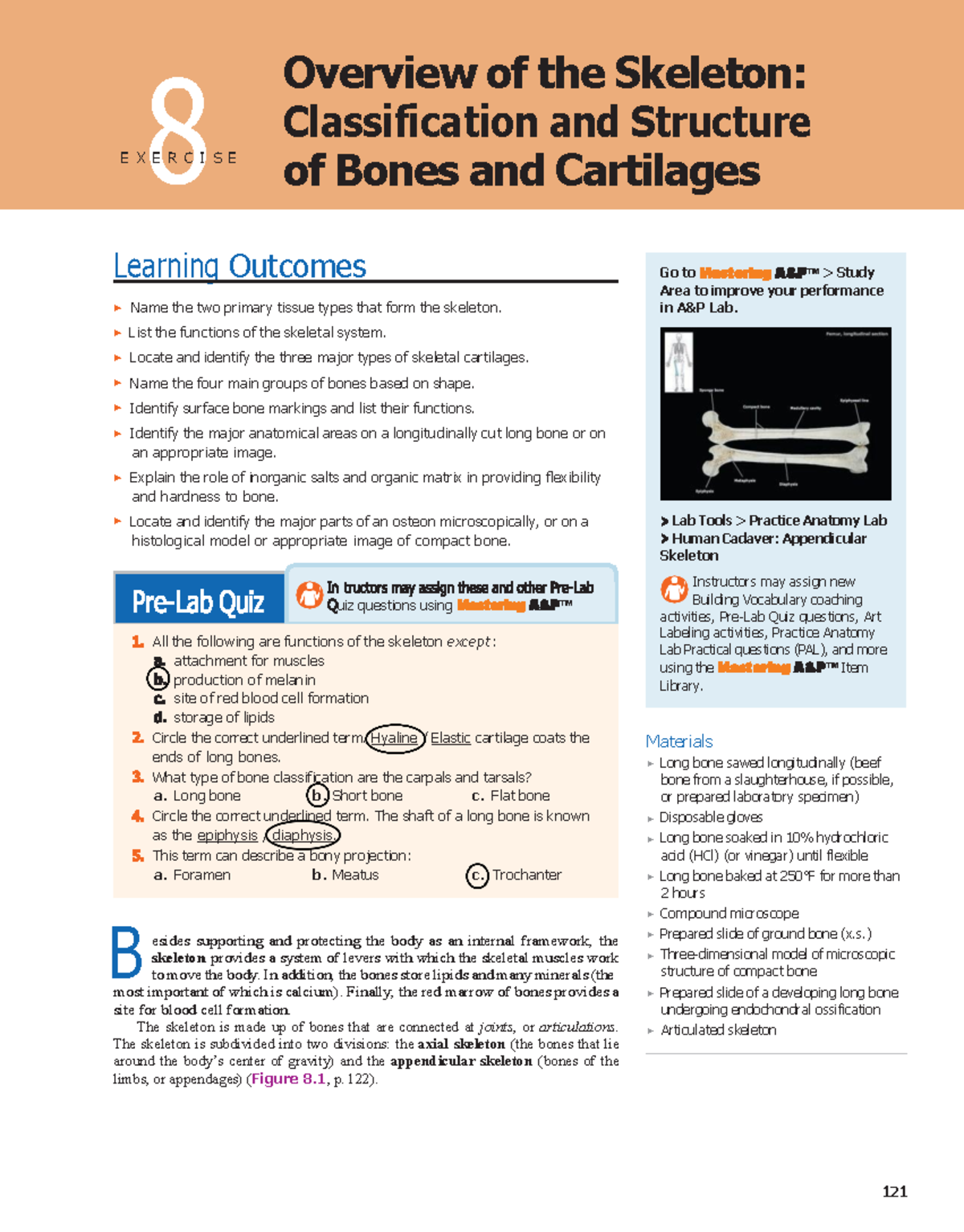 BIOL 163 Lab 8: Comprehensive Overview of the Skeleton and Bone Structure - Studocu