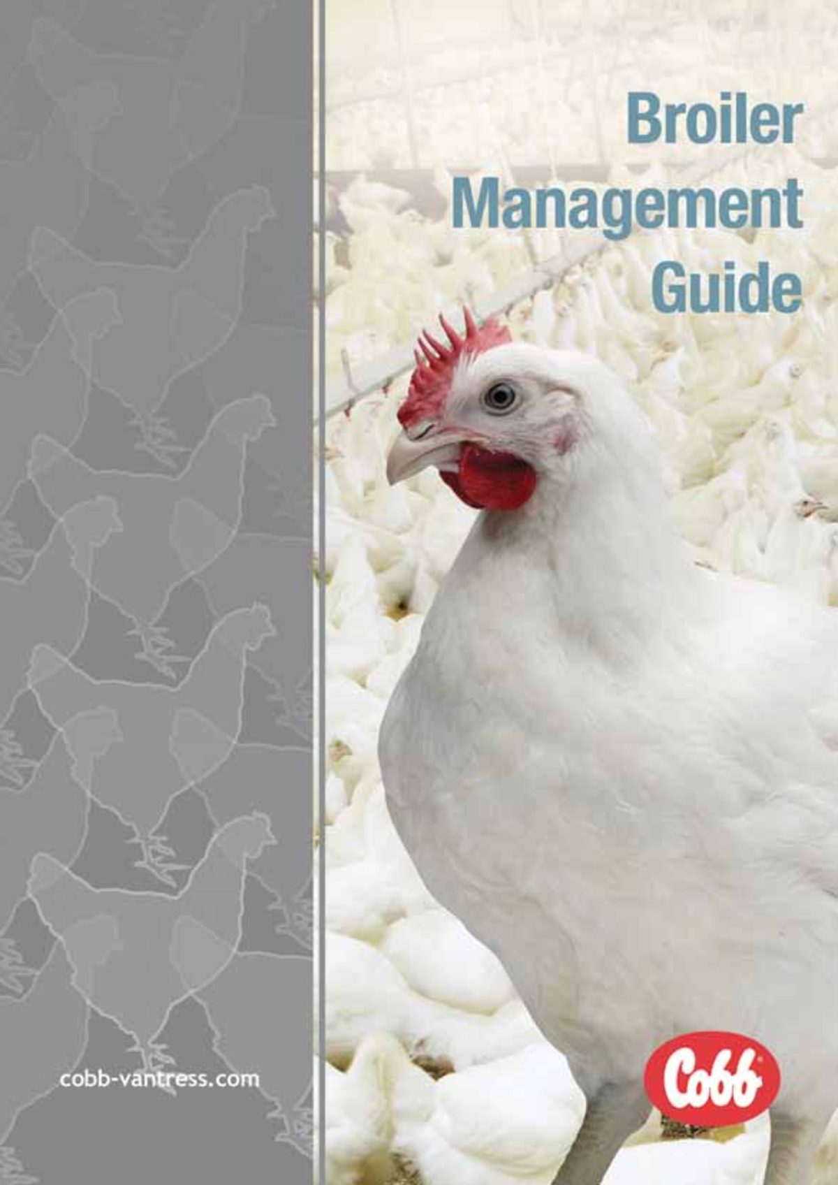 Cobb broiler management guide english - IntrOduCtIOn The Cobb ...