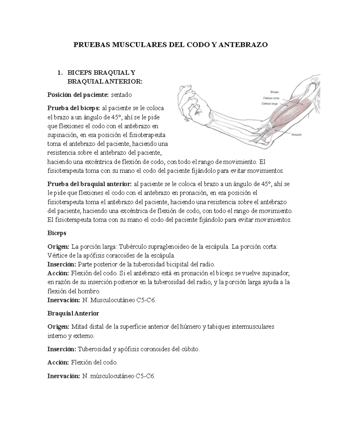 PRUEBAS MUSCULARES DEL CODO Y ANTEBRAZO: BÍCEPS Y TRÍCEPS - Studocu