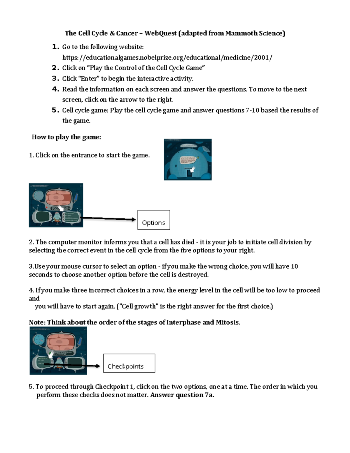 Cell Cycle & Cancer - Webquest - The Cell Cycle & Cancer – WebQuest ...