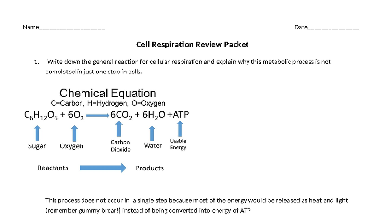 Cellular Respiration Review Packet - Key Concepts & Processes (Bio 101 ...