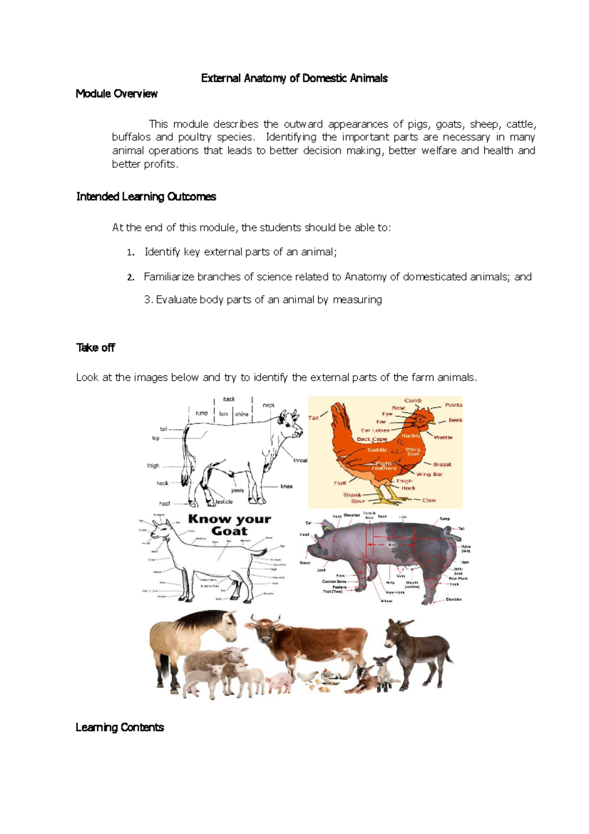 3. External Anatomy of Domestic Animal - External Anatomy of Domestic ...