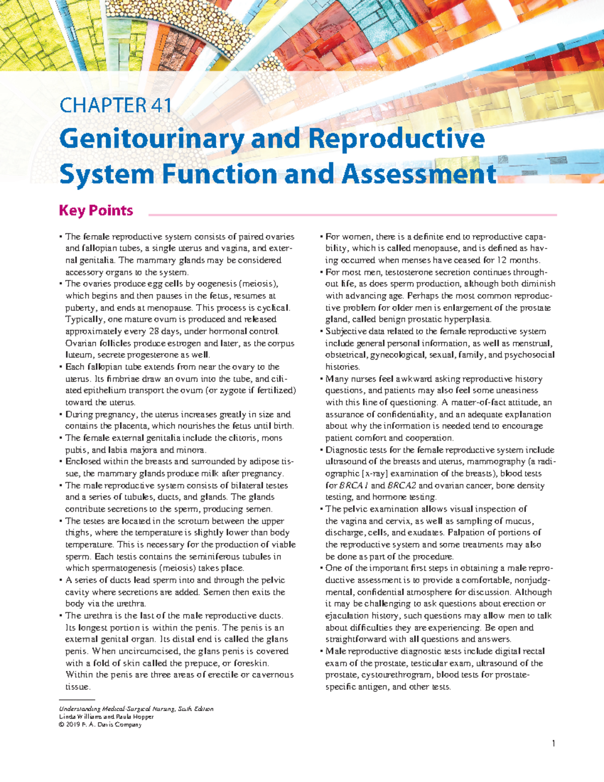 Ch 41 Key Points: Genitourinary & Reproductive Systems Overview - Studocu