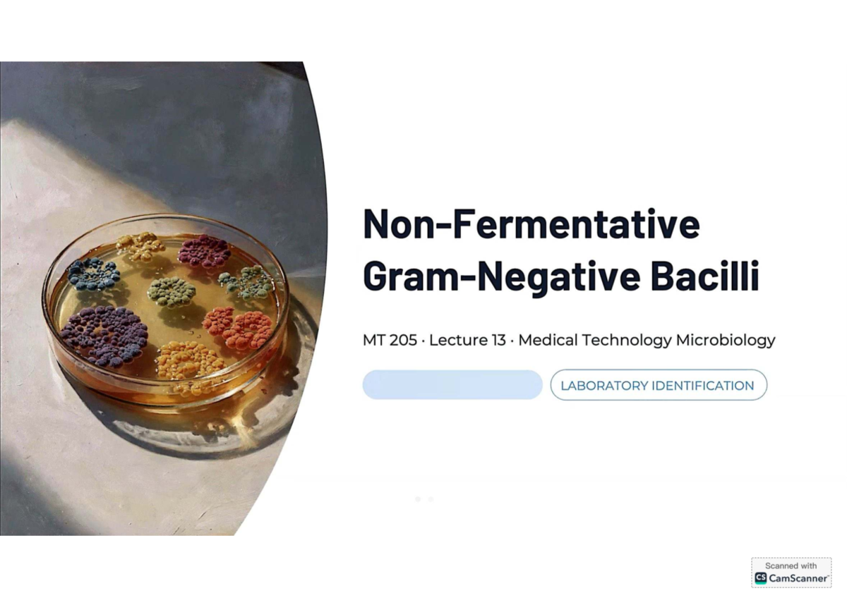 MT 205 Lecture 13: Non-Fermentative Bacilli Identification in Medical ...