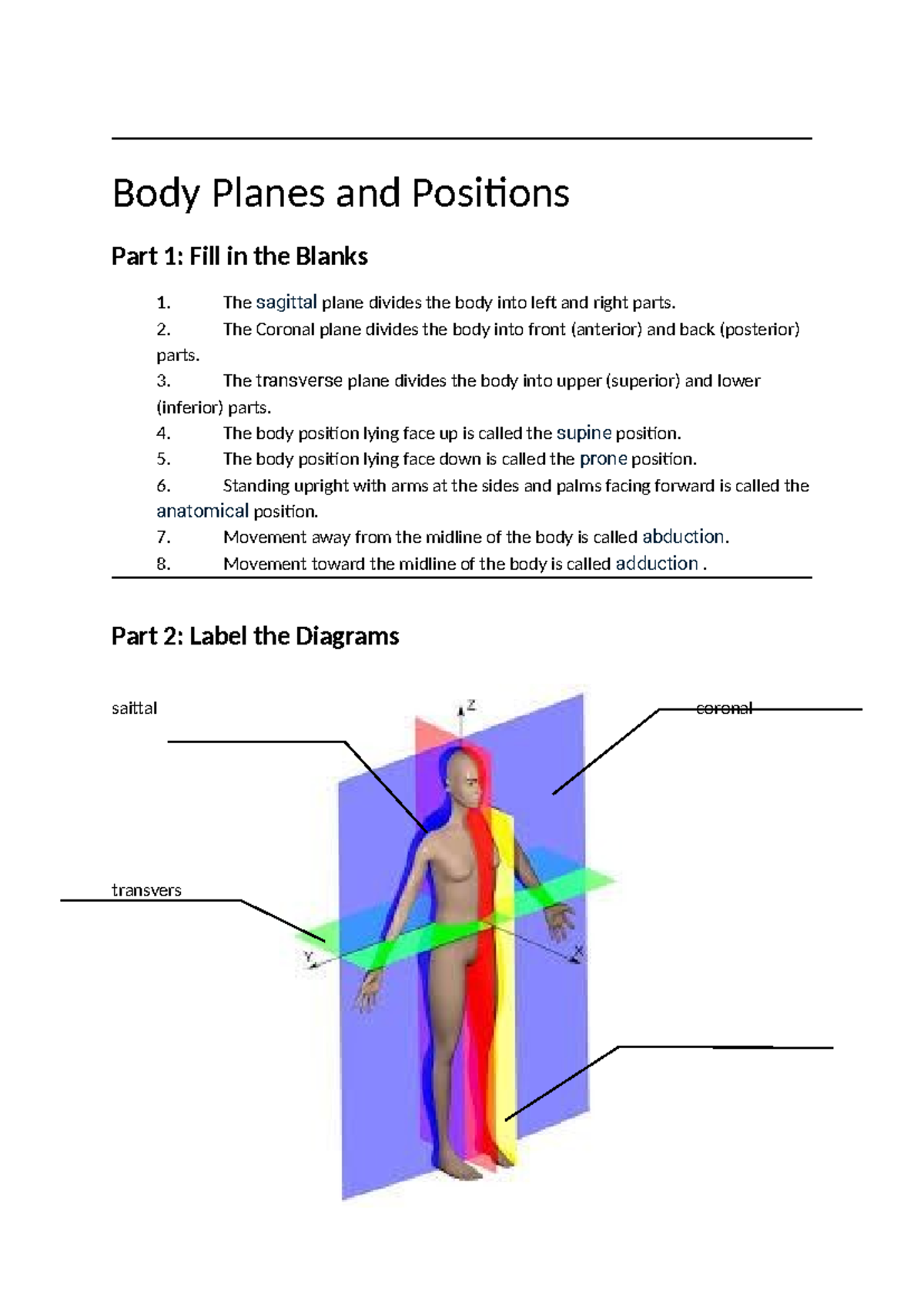 Body Planes & Positions: Fill in the Blanks (Theory) - Studocu