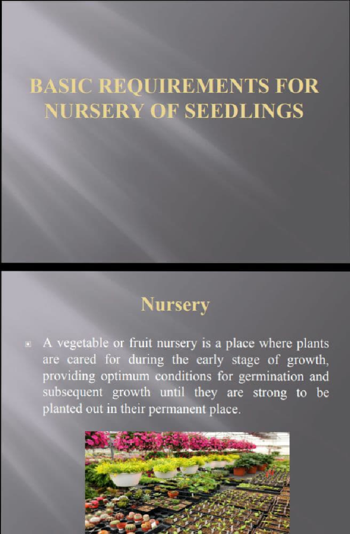 Setting up a nursery - BASIC REQUIREMENTS FOR NURSERY OF SEEDLINGS ...