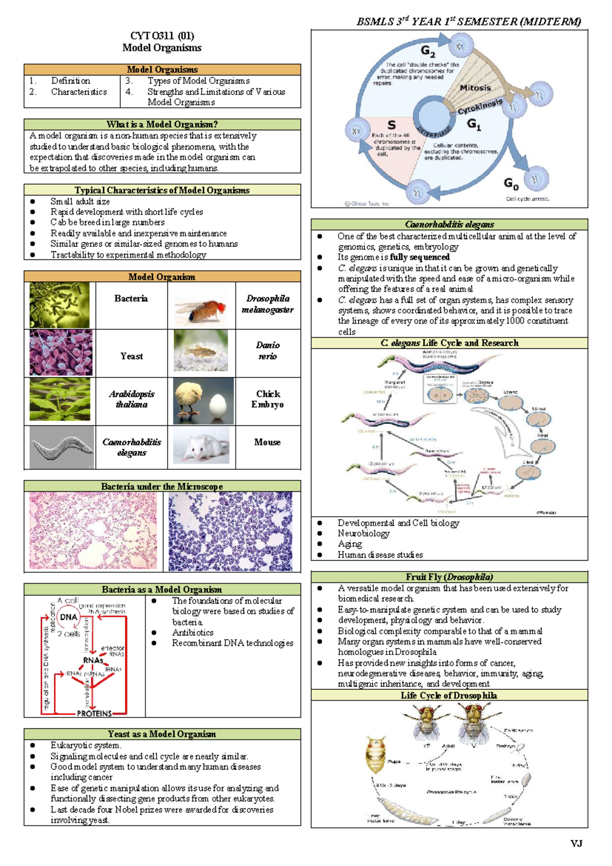 BSMLS 3rd YEAR 1st SEMESTER (MIDTERM) CYTO311 (01) Overview of Model ...