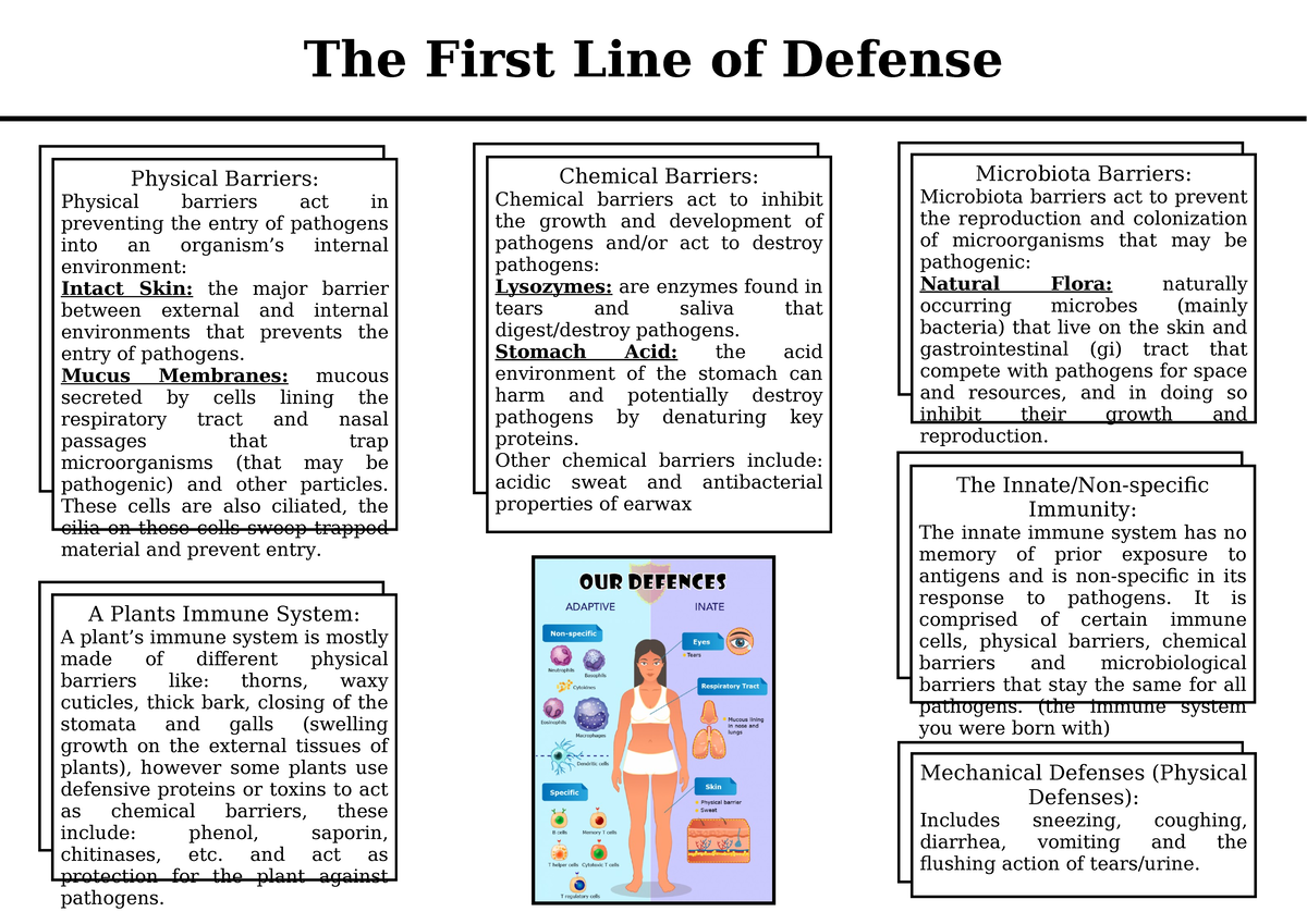 First Line of Defense: Physical and Chemical Barriers Explained - Studocu