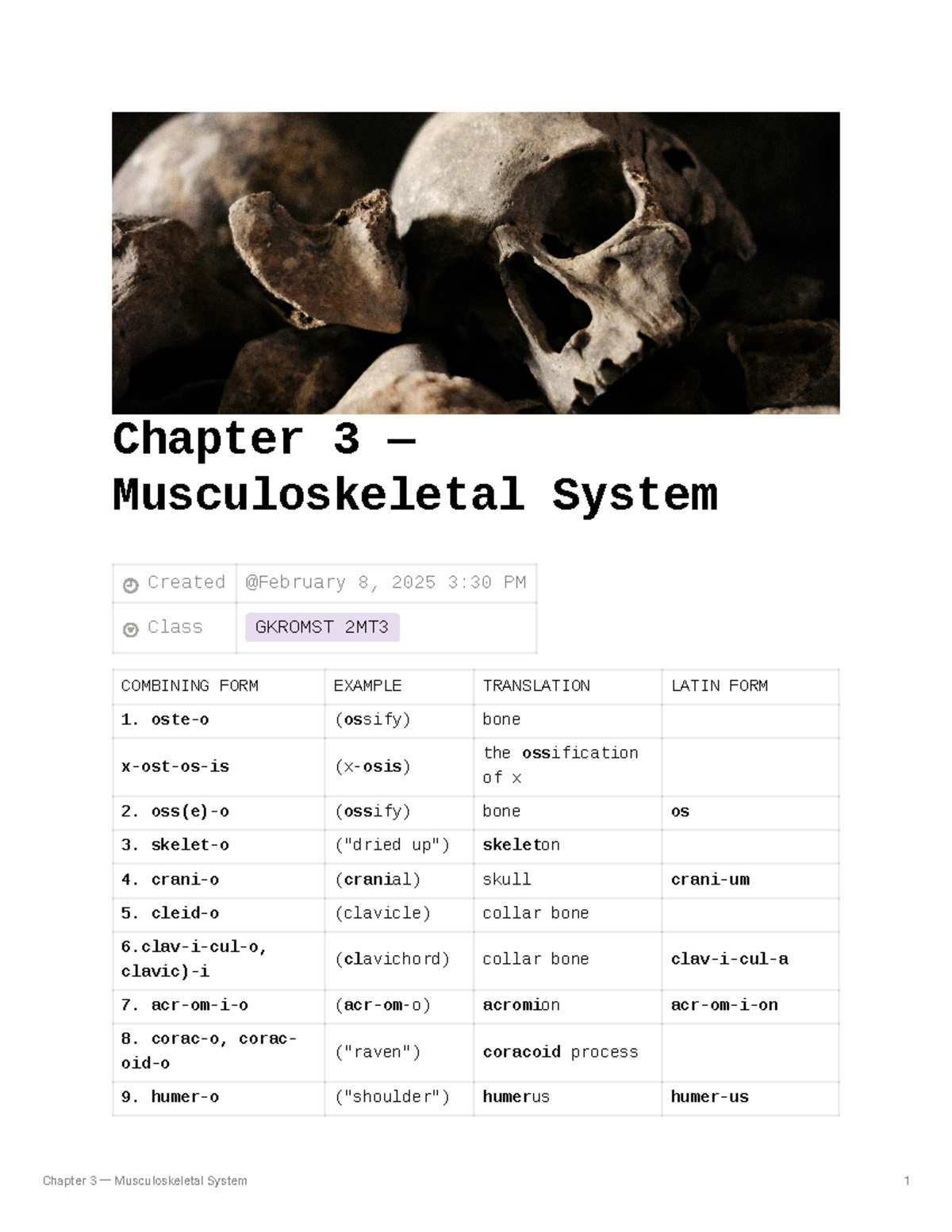 Chapter 3 Musculoskeletal System - Chapter 3 — Musculoskeletal System ...