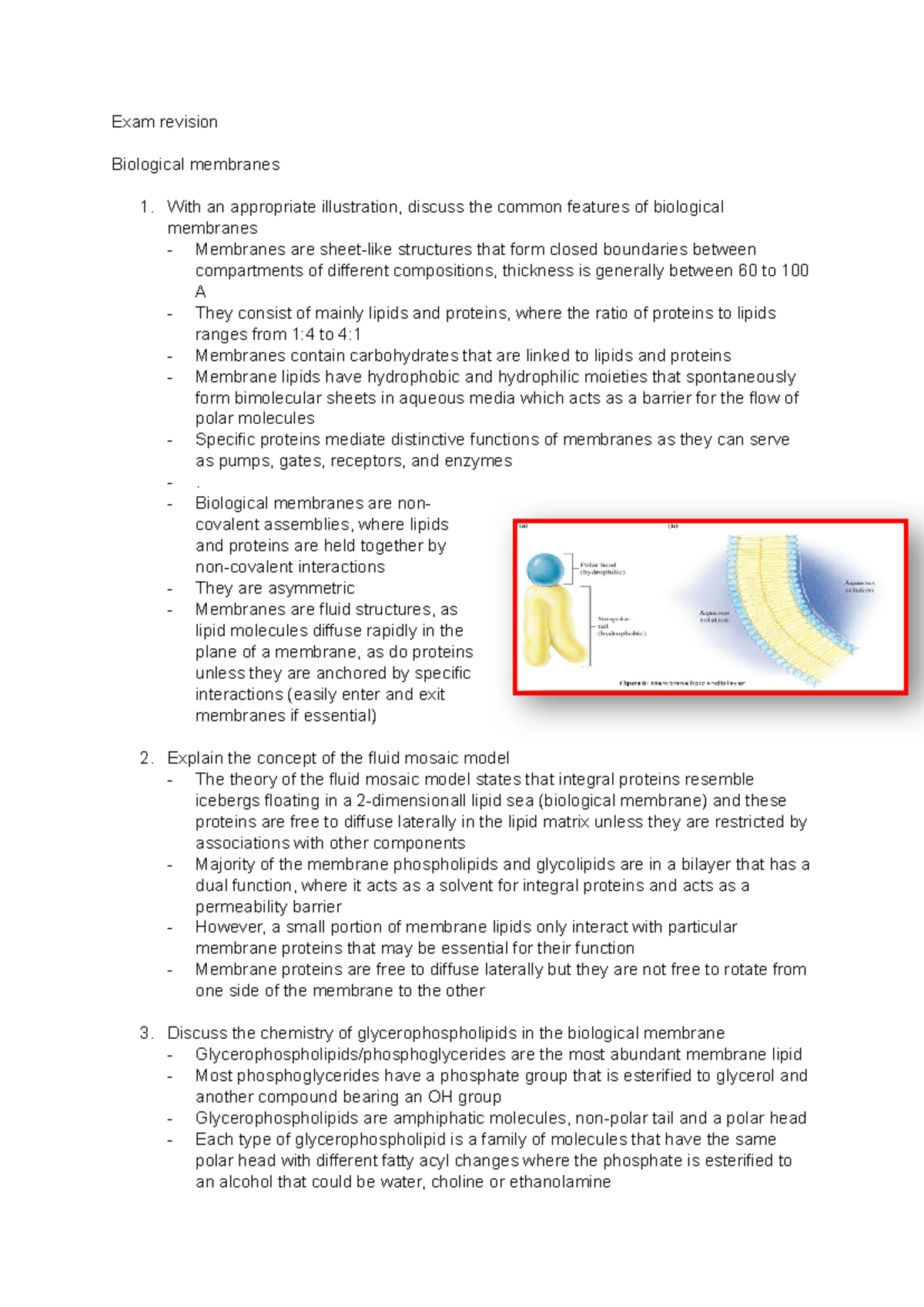 Biological Membranes: Key Concepts & Fluid Mosaic Model - Final Exam ...