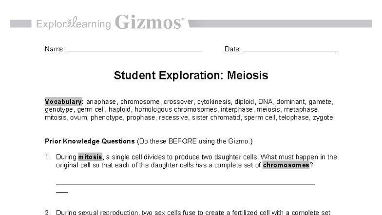 Meiosis Exploration: Understanding Cell Division & Genetics - Studocu